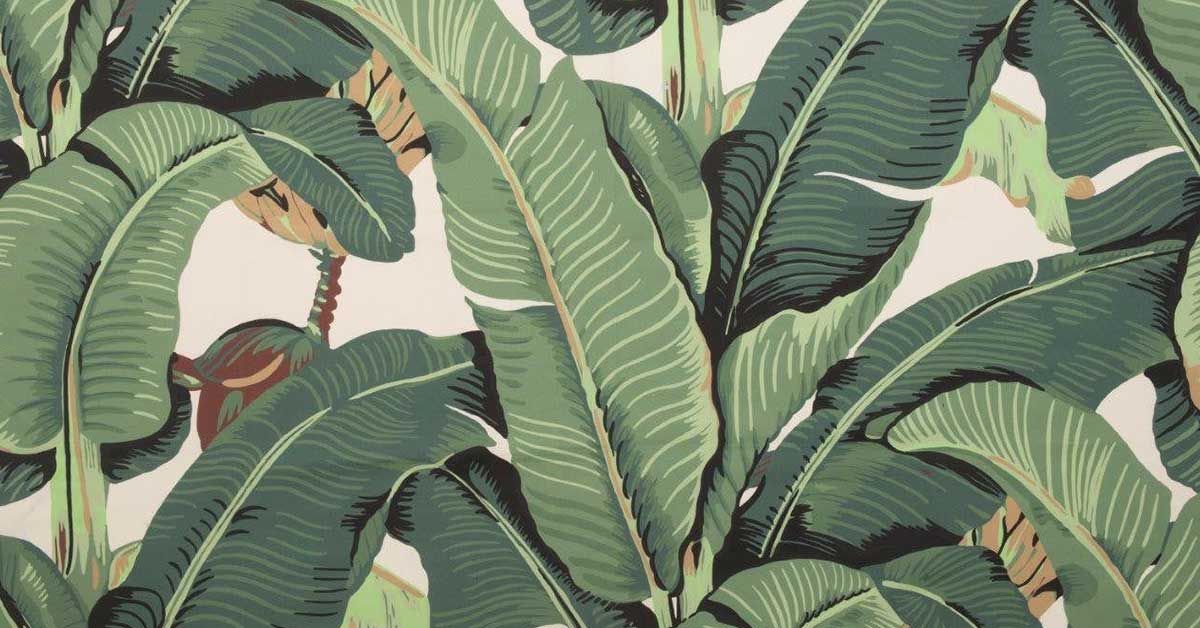 Martinique Wallpapers [25+ Free Background Images] - WallpaperGap