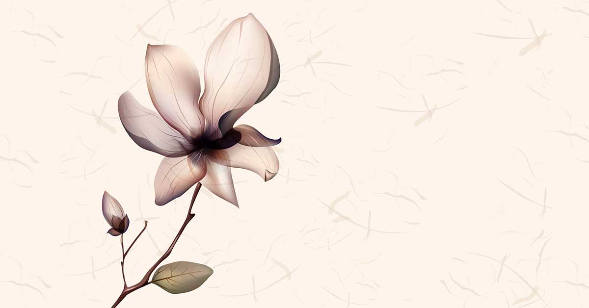 Beige Flower Wallpapers [17+ Free Background Images] - WallpaperGap
