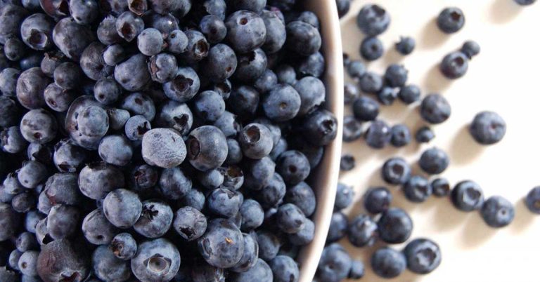 Download Free Lucky Charms Wallpapers [70+ Pictures] - WallpaperGap