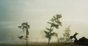 Sonder Wallpapers [29 High-Quality Images for All Devices] - WallpaperGap