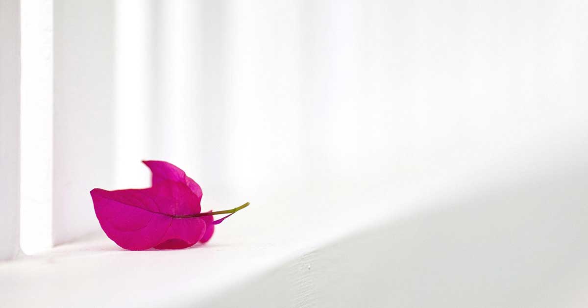 Sonder Wallpapers [29 High-Quality Images for All Devices] - WallpaperGap