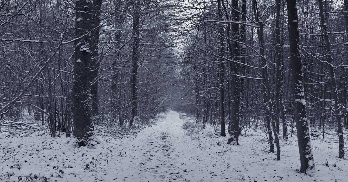 Black Winter Wallpapers [17+ Free Background Images] - WallpaperGap