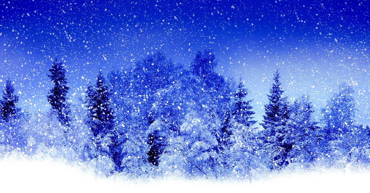 Under The Sea Wallpapers [43+ Free Background Images] - WallpaperGap