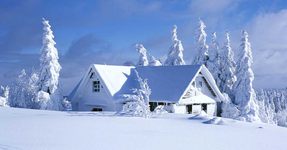 Under The Sea Wallpapers [43+ Free Background Images] - WallpaperGap