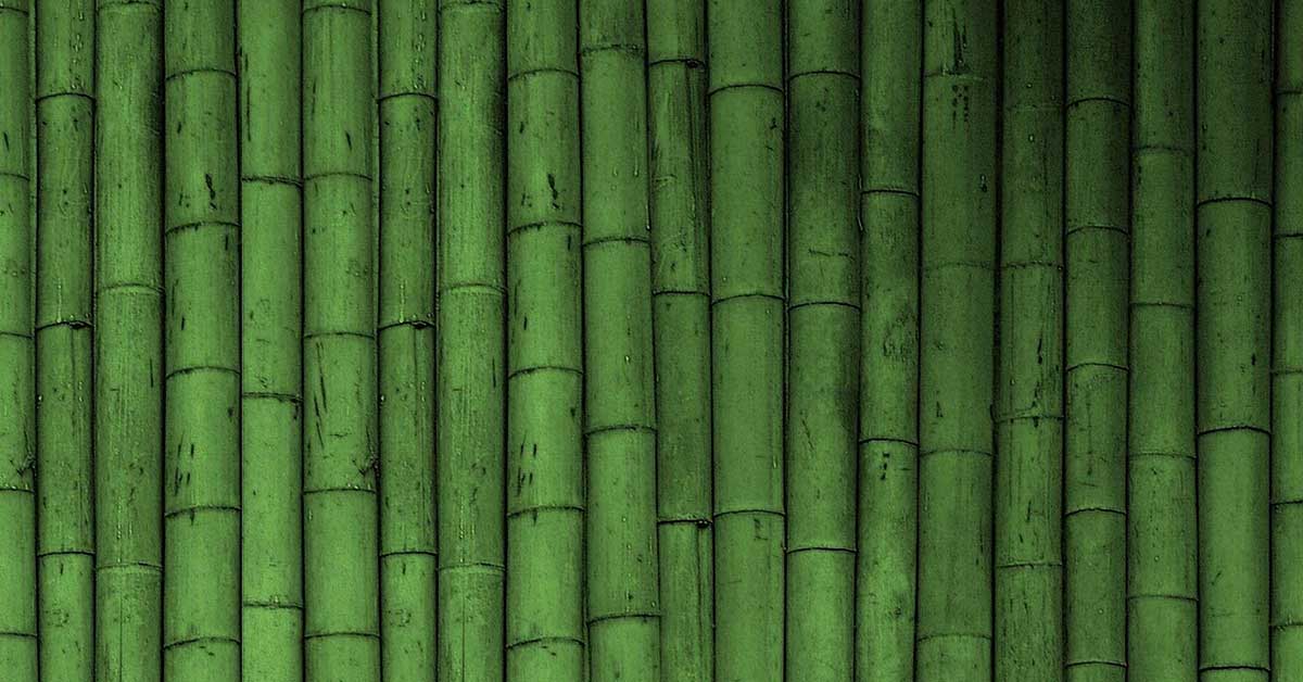 Spring Season Wallpapers [59+ Free Background Images] - WallpaperGap