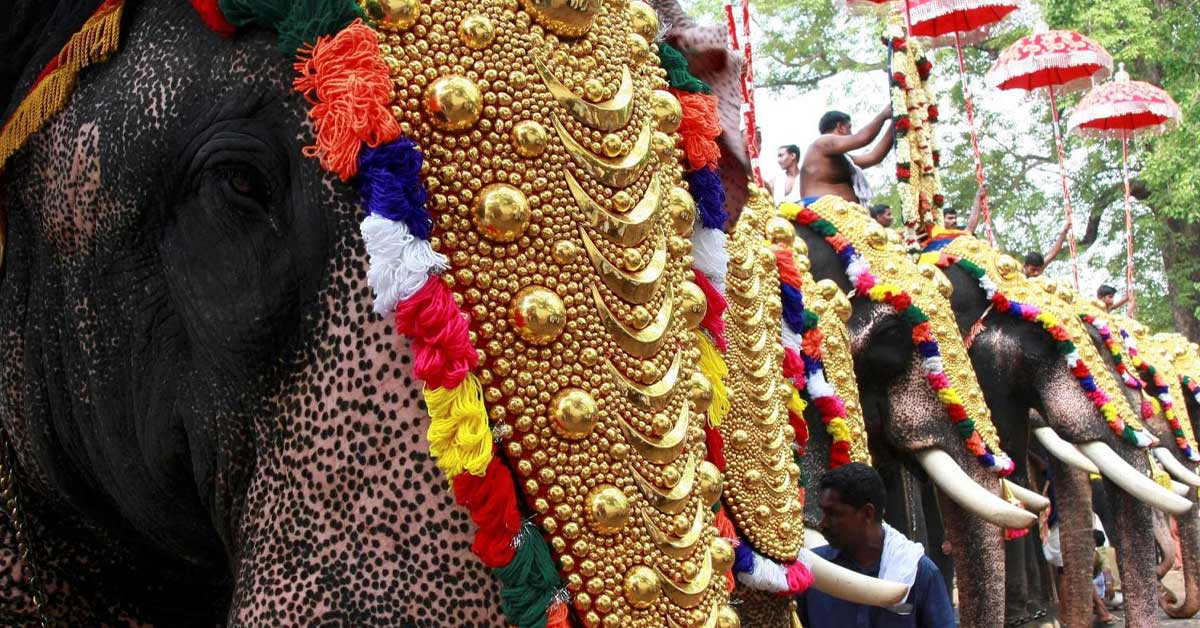 Kerala Elephant Wallpapers | 22 Cultural & Majestic Scenes - WallpaperGap